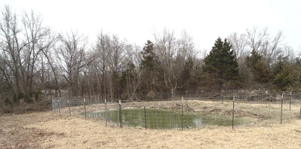 Lagoon Inspection - Peace of Mind Home Inspections